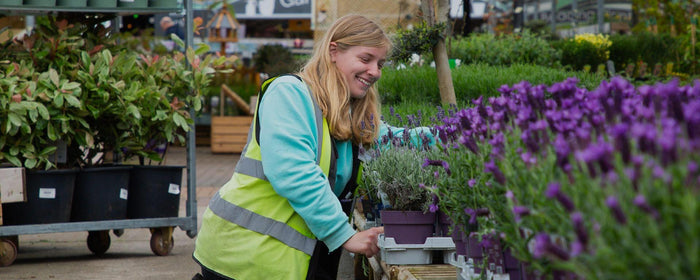 Plants – Chessington Garden Centre